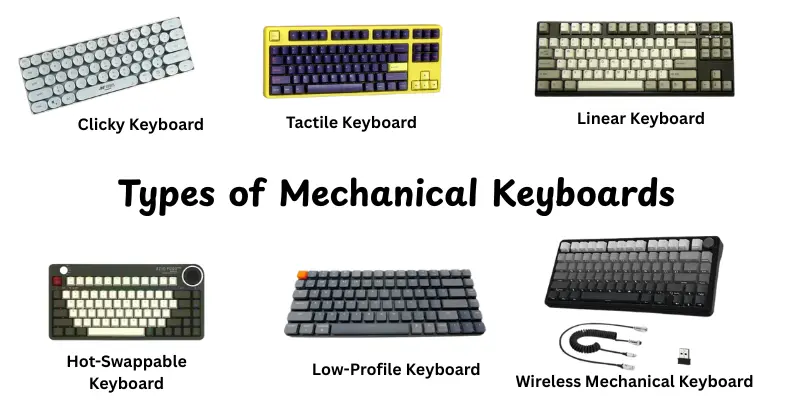What is a Mechanical Keyboard? Types and Benefits