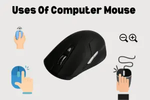 Discover Amazing Uses of Computer Mouse for Work & Play